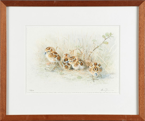 LARS JONSSON. Baby birds, signed and numbered 159/310, color lithograph ...