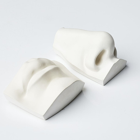 CASTING, 2 dlr, from Michelangelo's sculpture David, The Brucciani ...