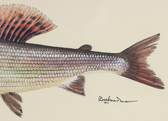 ROLF SMEDMAN, HARR. Konst - Måleri - Auctionet