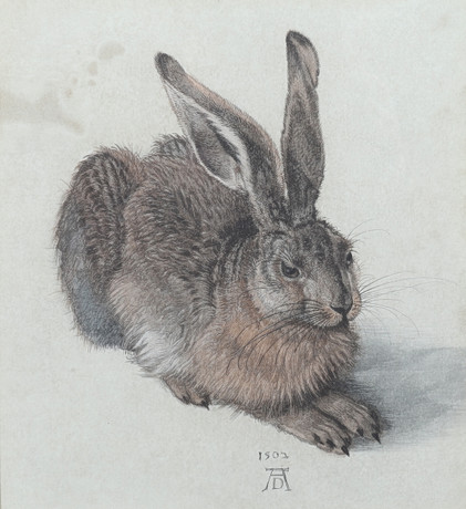 AFTER ALBERT DÜRER. UNA IMPRESIÓN DE LA REPRODUCCIÓN DE LIEBRE JOVEN ...