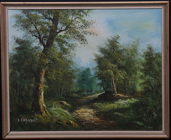 IRENE CAFIERI. Forest landscape. Oil on Board, signed. Art - Paintings ...