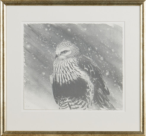 LARS JONSSON. Pigeon hawk, lithograph, signed Lars Johnsson, EA. Art ...