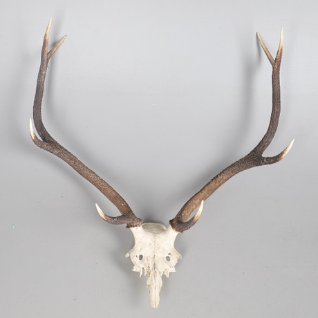 TROFFE, hjort. Övrigt - Övrigt - Auctionet