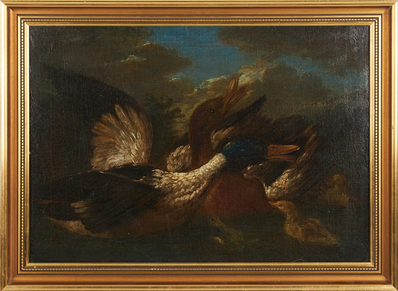 FOLLOWER OF GIORGIO DURANTI. 18th century, ducks and frog, oil on ...