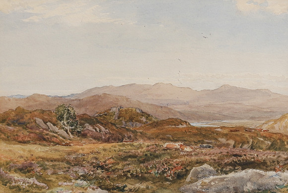 THOMAS COLLIER (1840-1891). MAWDDACH VALLEY. Art - Paintings - Auctionet