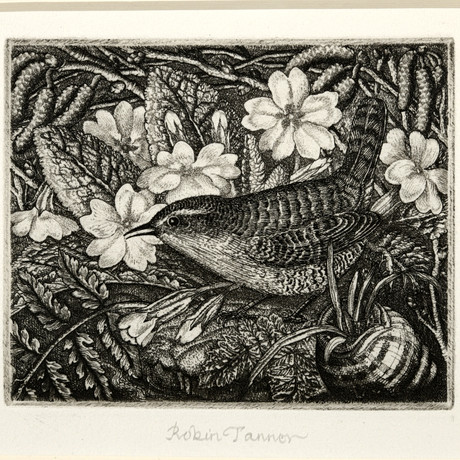 ROBIN TANNER (1904-1988). WREN AND PRIMROSES. Art - Other - Auctionet