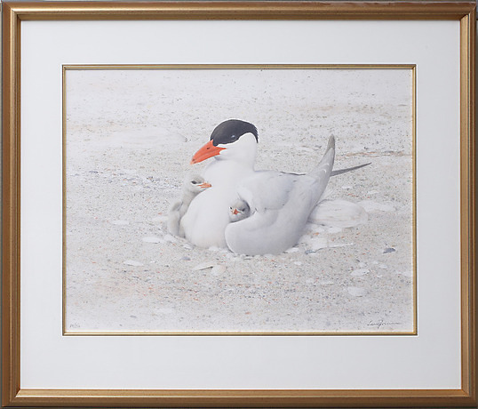 LARS JONSSON. Skräntärna with kids, color lithograph, signed and ...