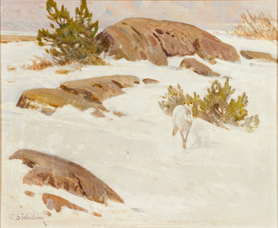 EDVIN SÖDERSTRÖM (1905-1997). Winter hare, signed E. Söderström, oil on ...
