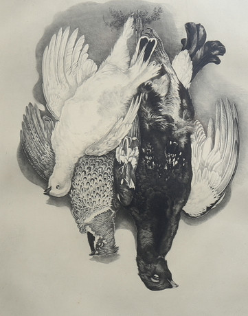STIG BORGLIND. "Dead birds", etching, signed. Art - Engravings & Prints ...