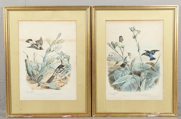 AFTER EDWARD TRAVERS. A PAIR OF 19TH CENTURY ORNITHOLOGICAL PRINTS. Art ...