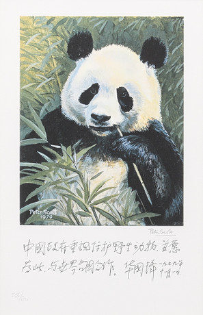 SIR PETER SCOTT (1909-1989). PANDA. Art - Engravings & Prints - Auctionet