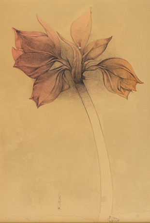 BRUNO BRUNI (1935). amaryllis. Konst - Grafik - Auctionet