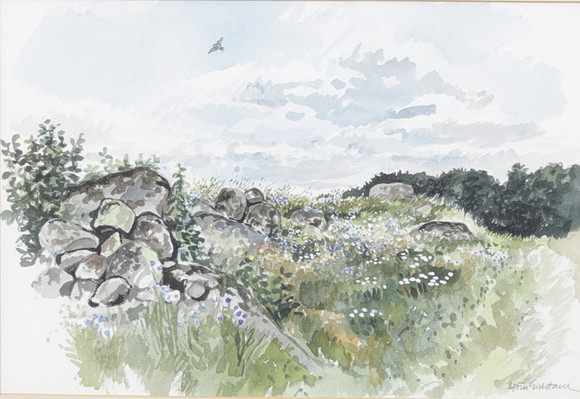 BJÖRN GIDSTAM. Äng med stenröse, akvarell, signerad. Konst - Måleri ...