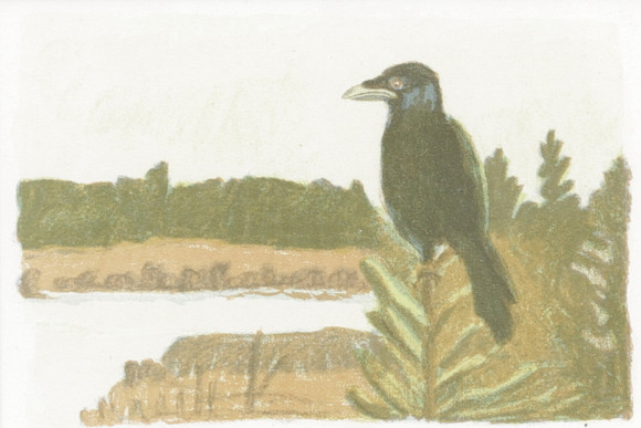 CALLE JOHANSSON. Crow, lithograph, signed and numbered 142/150. Art ...