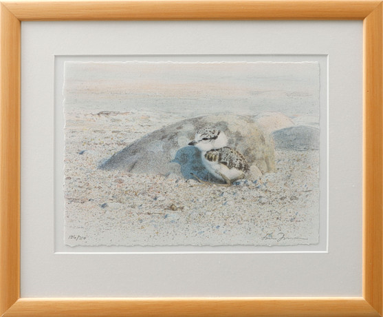 LARS JONSSON. Seagull. Color lithograph, signed and numbered 124/310 ...