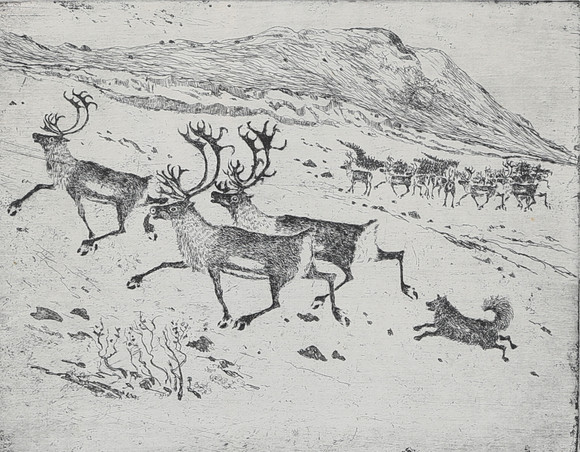 LARS PIRAK. etsning, numrerad 175/200, "Tre Renar, signerad. Konst ...