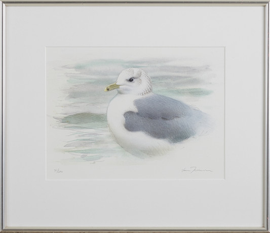 LARS JONSSON. Seagull, color lithograph, 71/200, signed. Art - Graphic ...