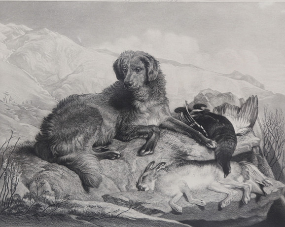 ALFRED LUCAS EFTER LANDSEER. Engraving, Golden retriever with booty ...