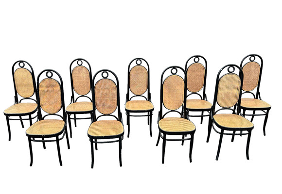 9 chairs by Thonet 'Long John', model: 207R, 1970s. Furniture ...