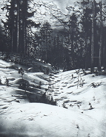 CURT HAMNE. "Vinterskog", etsning, signerad, numrerad. Konst - Grafik ...