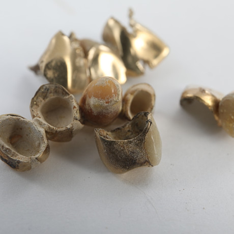 GULD, tandguld, 13,48 gram, orensat. Smycken & Ädelstenar - Smycken ...