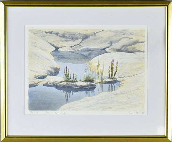 CARIN ADLER. Lithography, 78/220, "Summer reflection", signed, -83. Art ...