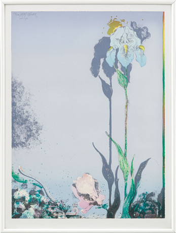 ARDY STRÜWER. Flores, litografía en color, firmada y numerada 23/150 ...