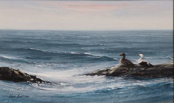 ARNE ANDERSSON. Oil on Board, ducks by the sea, signed. Art - Paintings ...