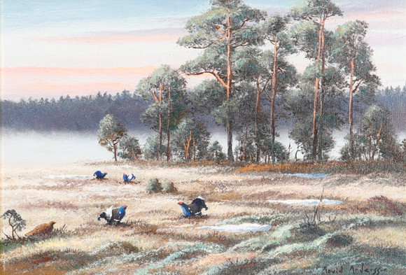 ARVID ANDERSSON. oil on canvas. Art - Paintings - Auctionet