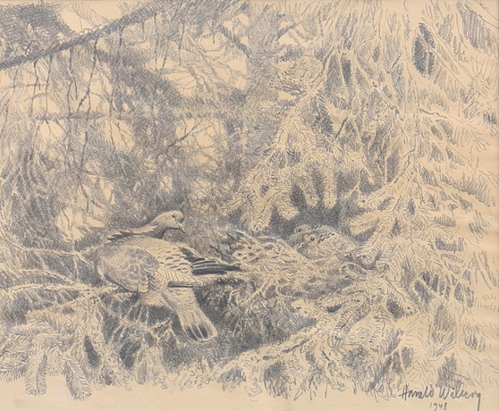HARALD WIBERG. Skogsduvor. Blyerts, signerad och daterad 1948. Konst ...