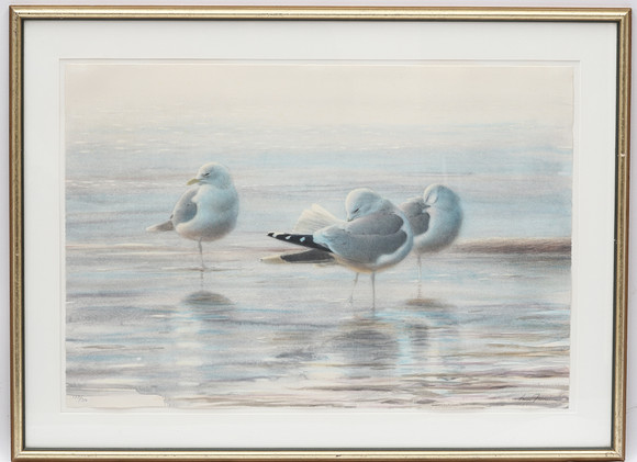 LARS JONSSON. Litografi, måsar, signerad, numrerad 173/310. Konst ...