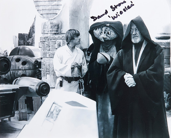 STAR WARS, "Wioslea", DAVID STONE, signerad fotografi. Konst ...