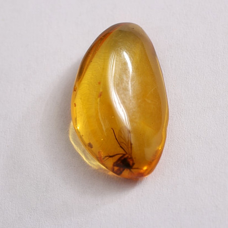 RAV MED INSEKTER. Smykker & ædelsten - Preciosa og øvrigt - Auctionet