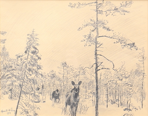 HARALD WIBERG. Älgar i vinterskog. Blyerts/kolpenna, signerad och ...