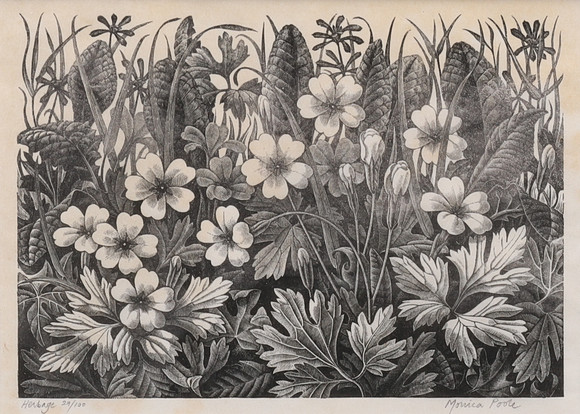 MONICA POOLE (BRITISH, 1921-2003). HERBAGE. Art - Engravings & Prints ...