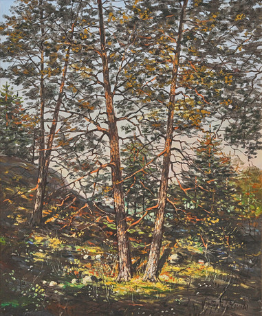 TOMAS MANDEL. Forest sun (Södra Yxlan), oil on canvas, signed. Art ...