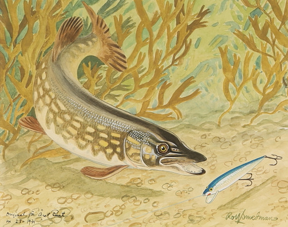 ROLF SMEDMAN. Watercolor, pike on the hunt, signed, original for the ...
