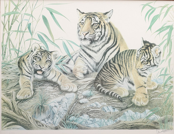 ERIC TENNEY, 20TH CENTURY. TIGER OCH UNGAR, PANTHERA TIGRIS. Konst ...