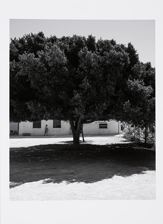 PETER JANHANS. Photograph, "Tabarca, Spain", dated 2022/23, numbered 1/ ...