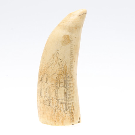 UN DIENTE DE BALLENA SCRIMSHAW DEL SIGLO XIX QUE REPRESENTA UN CLIPPER ...
