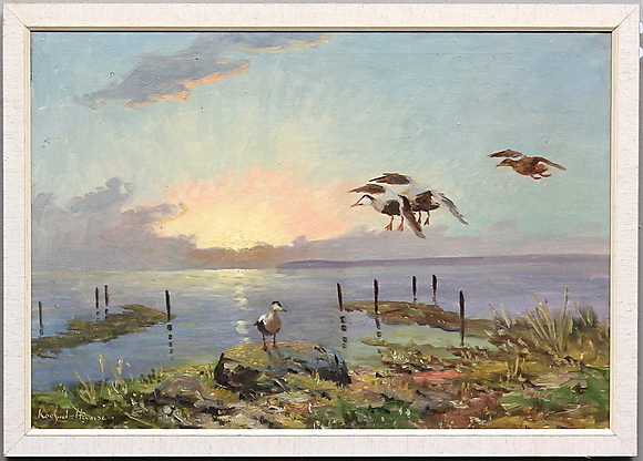 KOFOED HANSEN. Strandbild med sjöfågel. Olja på duk. Signerad. Konst ...