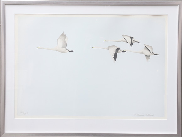 TOBY KREÜGER. "Hullaryd", Color lithograph, signed and numbered 186/350 ...