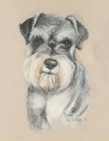 IRIS TAYLOR. ”JAMIE”. Konst - Teckningar - Auctionet