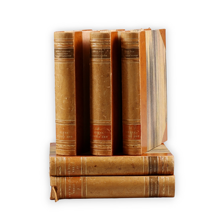 BÜCHER, 5 Bände, „The Wild World IV“, Bertil Hanström, Nils Rosén ...