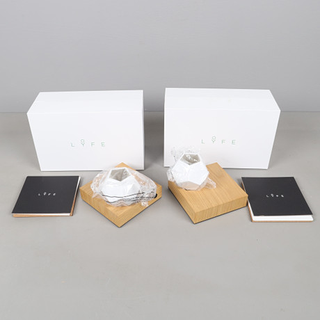 FLYTE, "Lyfe Planter", 2 piezas, sin usar en su embalaje original. Otros - Otros - Auctionet