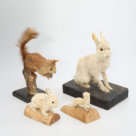 UPPSTOPPADE DJUR, Taxidermi, fyra stycken. Övrigt - Övrigt - Auctionet