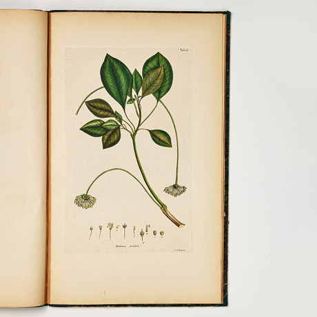 SWARTZ'S RARE WORK ON WEST-INDIAN PLANTS 1794-1801. Böcker, Kartor ...