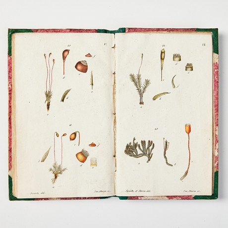 OLOF SWARTZ'S SMALL WORK ON LEAFY MOSSES 1799. Böcker, Kartor ...