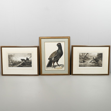 PETER PAILLOU (1720-1790). Efter. TJÄDERTUPP (CEILIOG COED). Konst ...