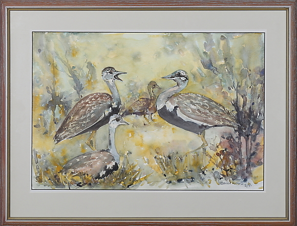 DINGI ROOS. Birds, watercolor, signed and dated 8/91. Art - Paintings ...